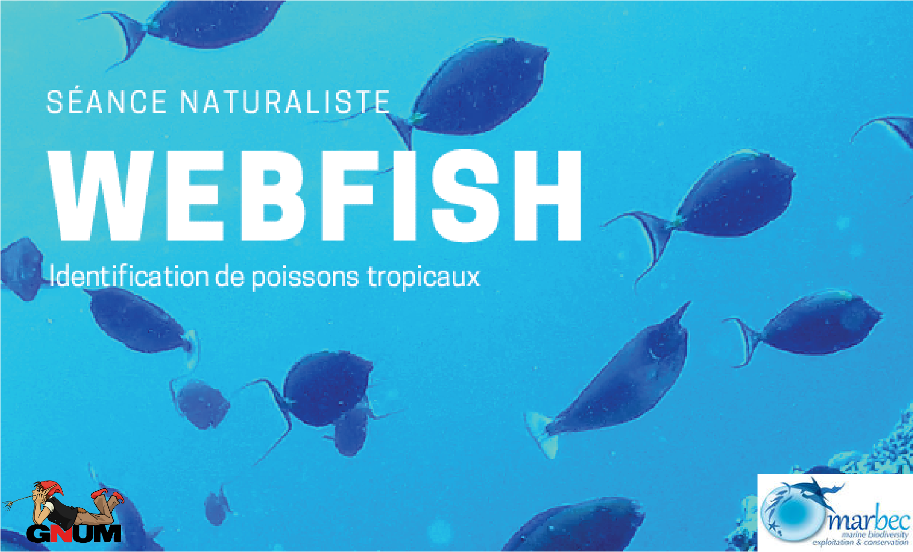WebFish | Groupe Naturaliste de l'Université de Montpellier